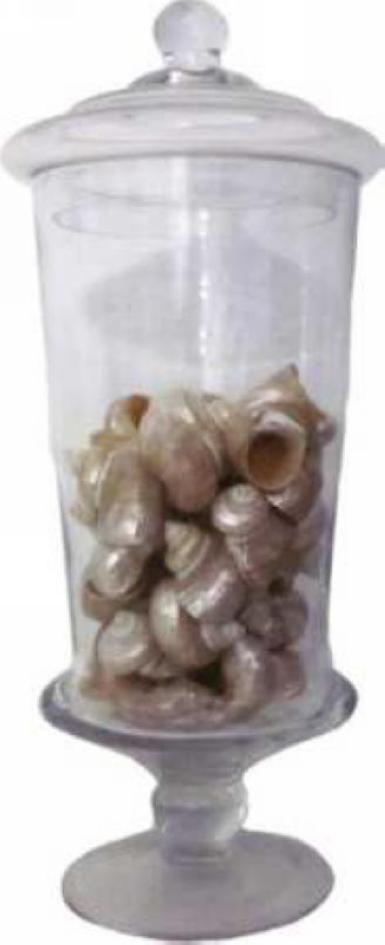 Wedding Tall Cylinder Glass Display Jar - Large 50cm - Wedding Wish